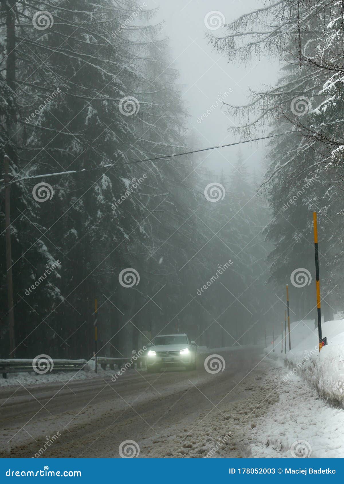 Poor Road Visibility Condition in Forest Stock Image - Image of snow ...