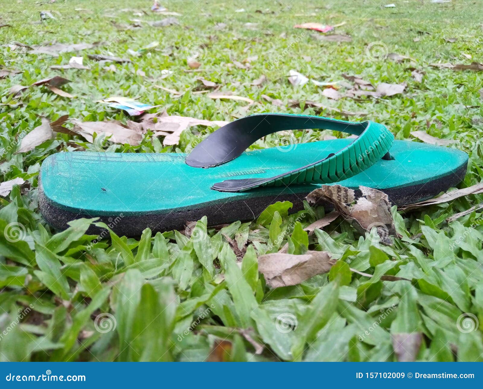 Poor Shoes. Which Uses Them To Perform Counter-actions. Stock Image ...