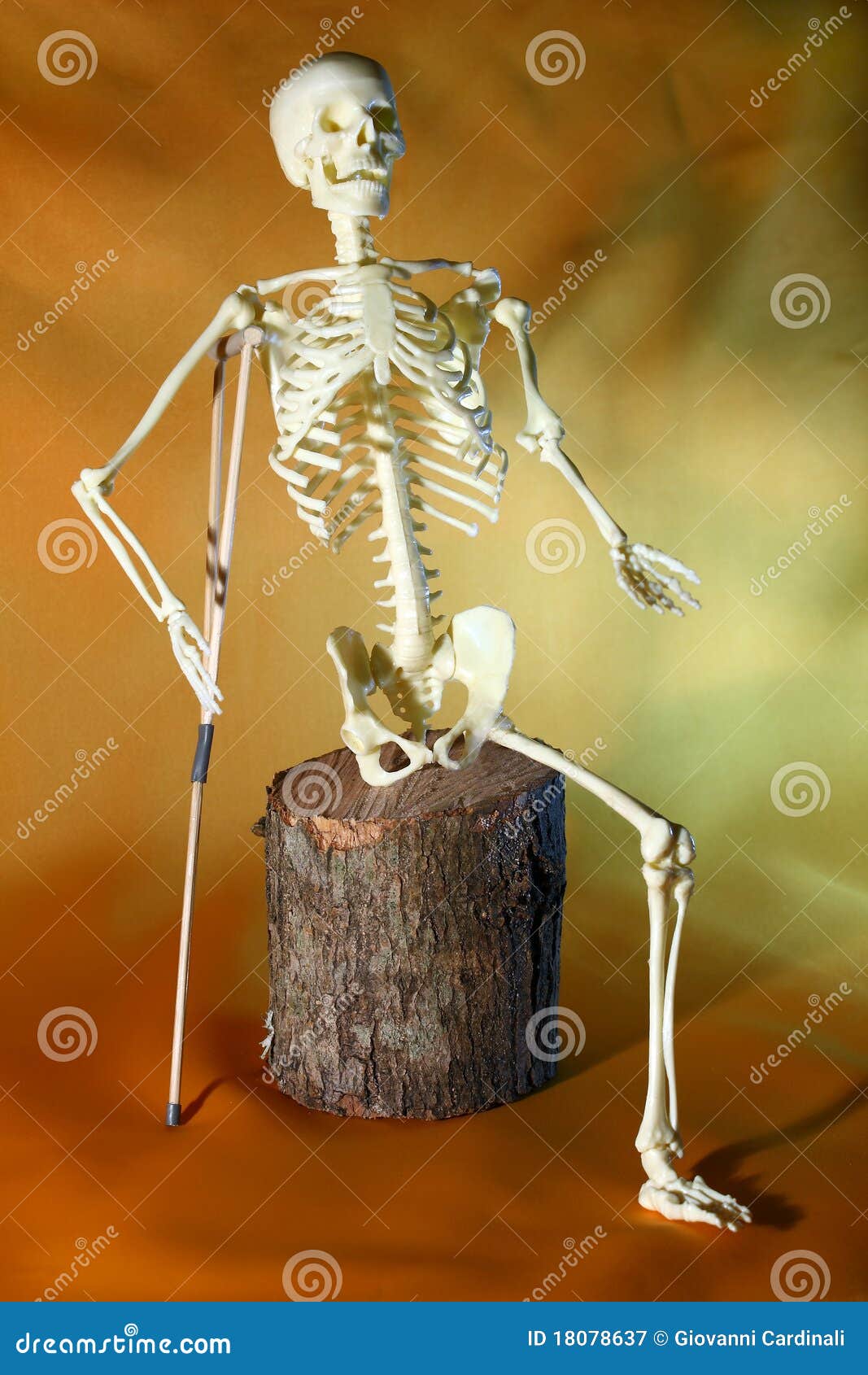 Poor skeleton stock image. Image of symbol, close, death - 18078637