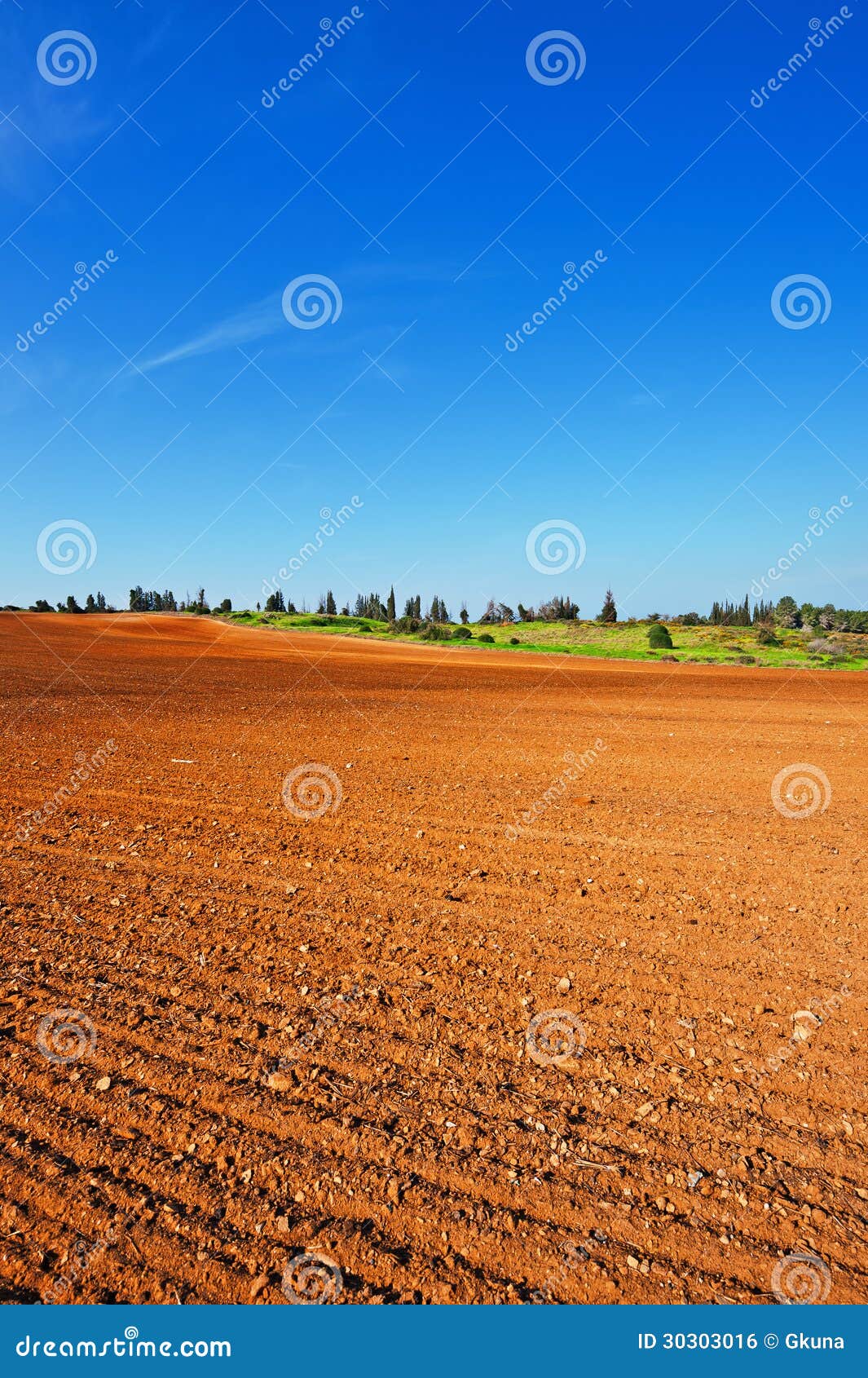 Poor Soil stock photo. Image of desert, east, field, earth - 30303016