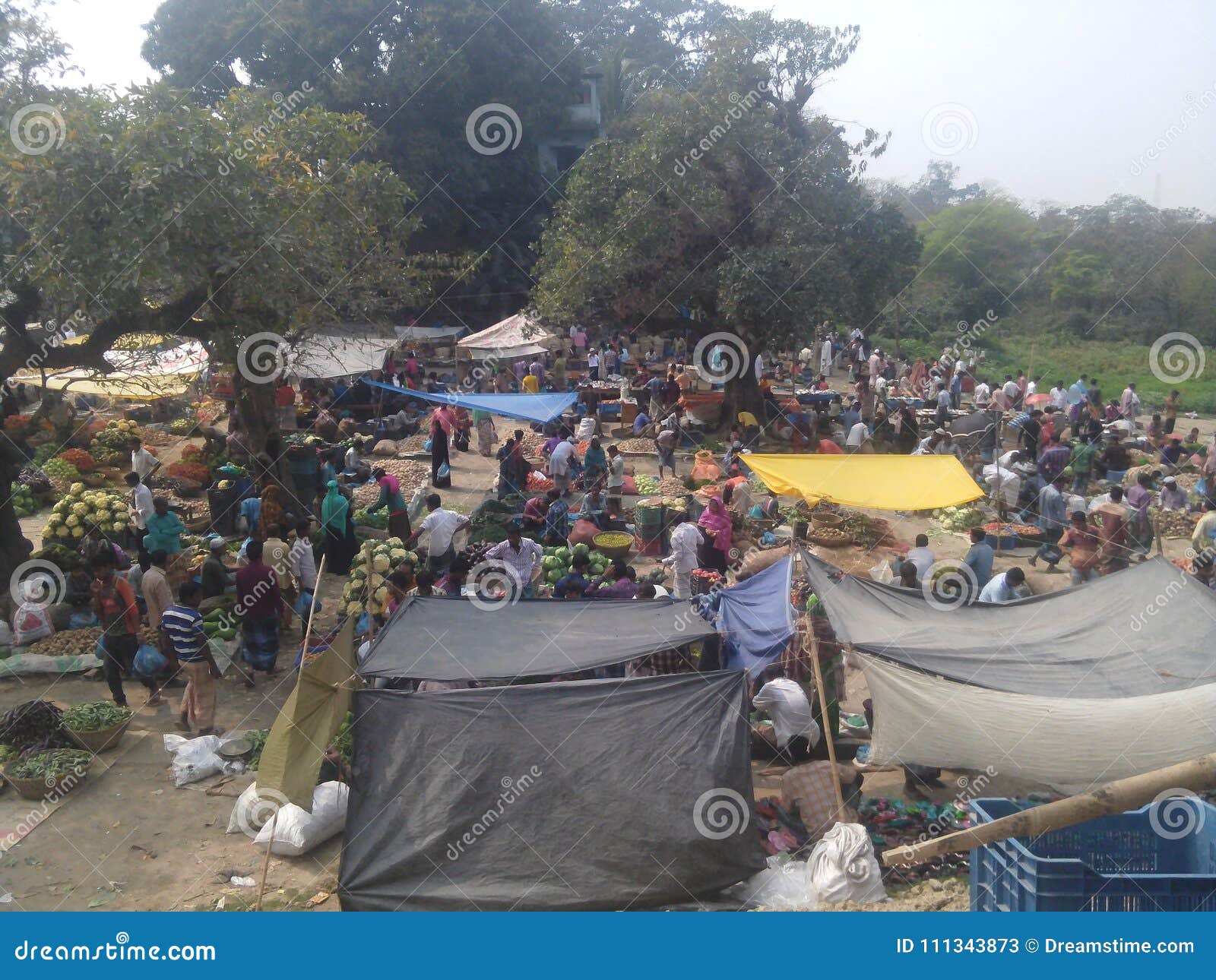 Poor Village in the Bangladesh Editorial Stock Photo - Image of poor ...