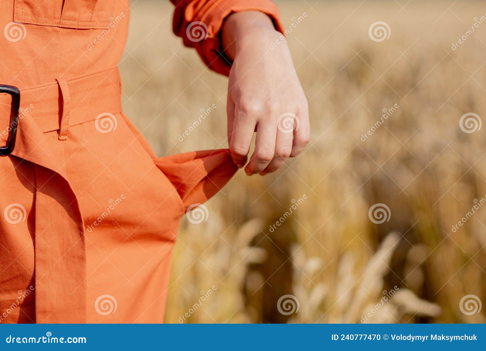 Poor Wheat Harvest. Lack of Grain Stock Photo - Image of drought ...