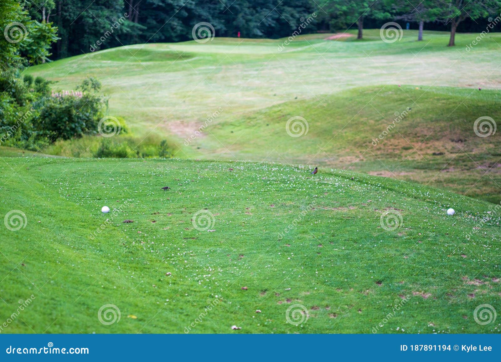 Poorly Maintained Cheap Golf Course Stock Photo - Image of recreation ...