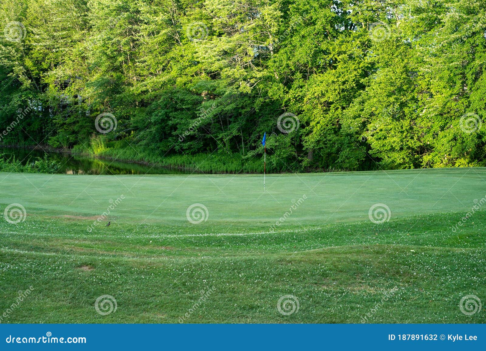 Golf Flag Clover Stock Photos - Free & Royalty-Free Stock Photos from ...