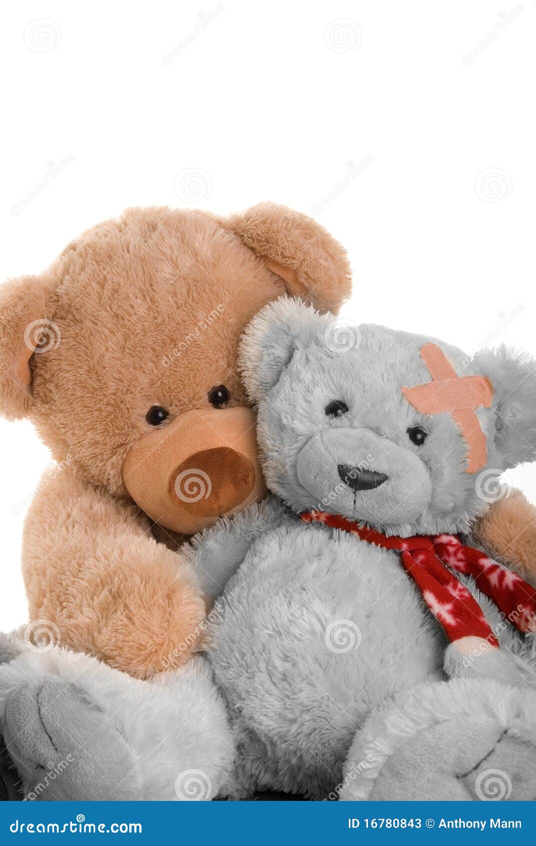 Poorly teddy stock image. Image of injury, painful, bandage - 16780843