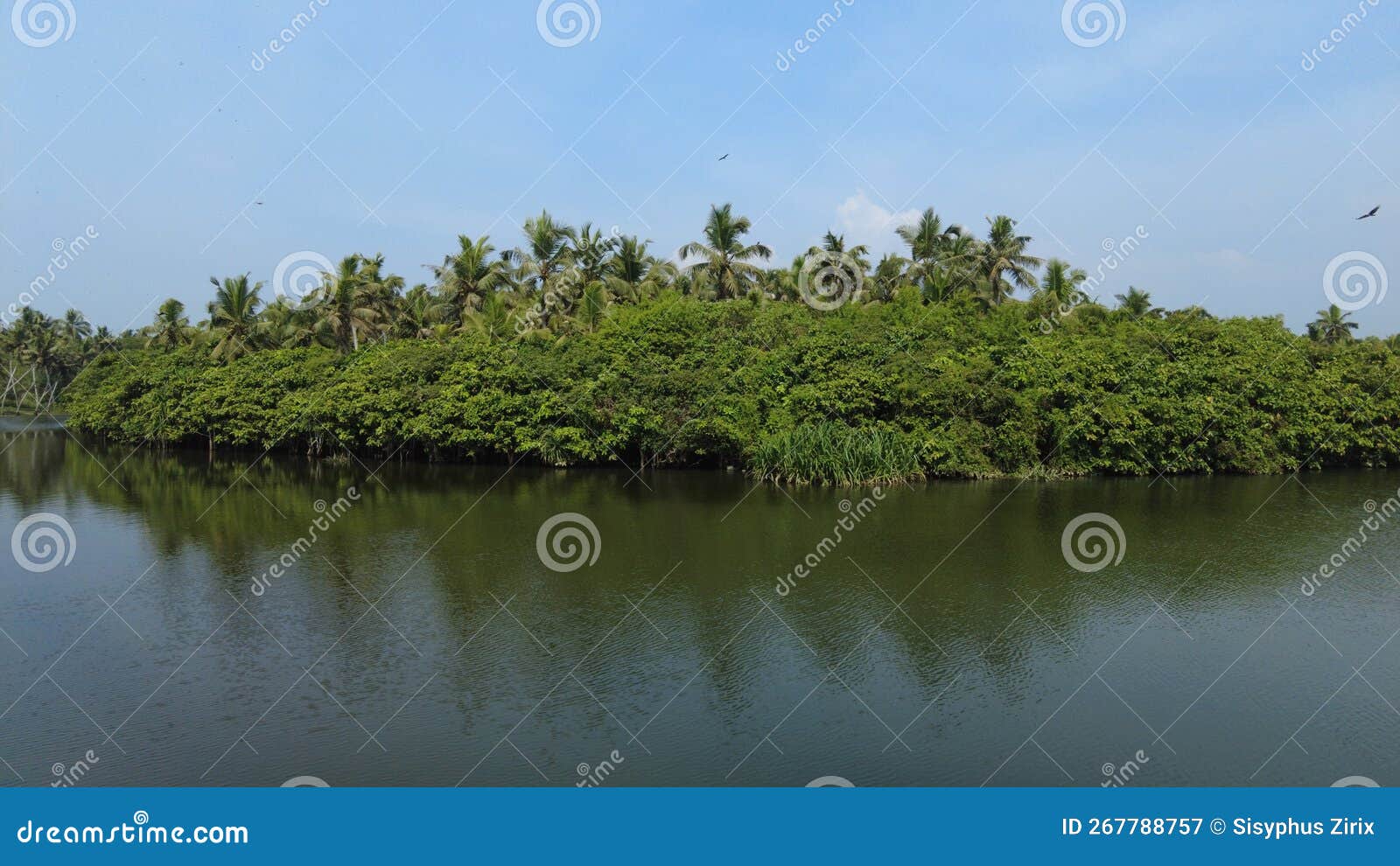 Poovar Backwater, Thiruvananthapuram, Kerala Stock Image - Image of ...