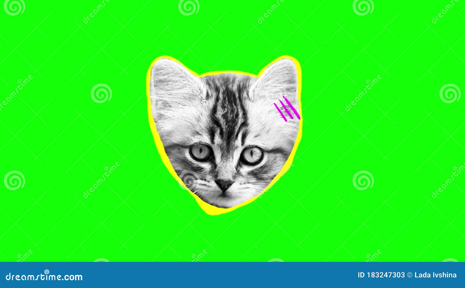 Pop Art Animation with Grey Cat on Green Screen Stock Video - Video of ...