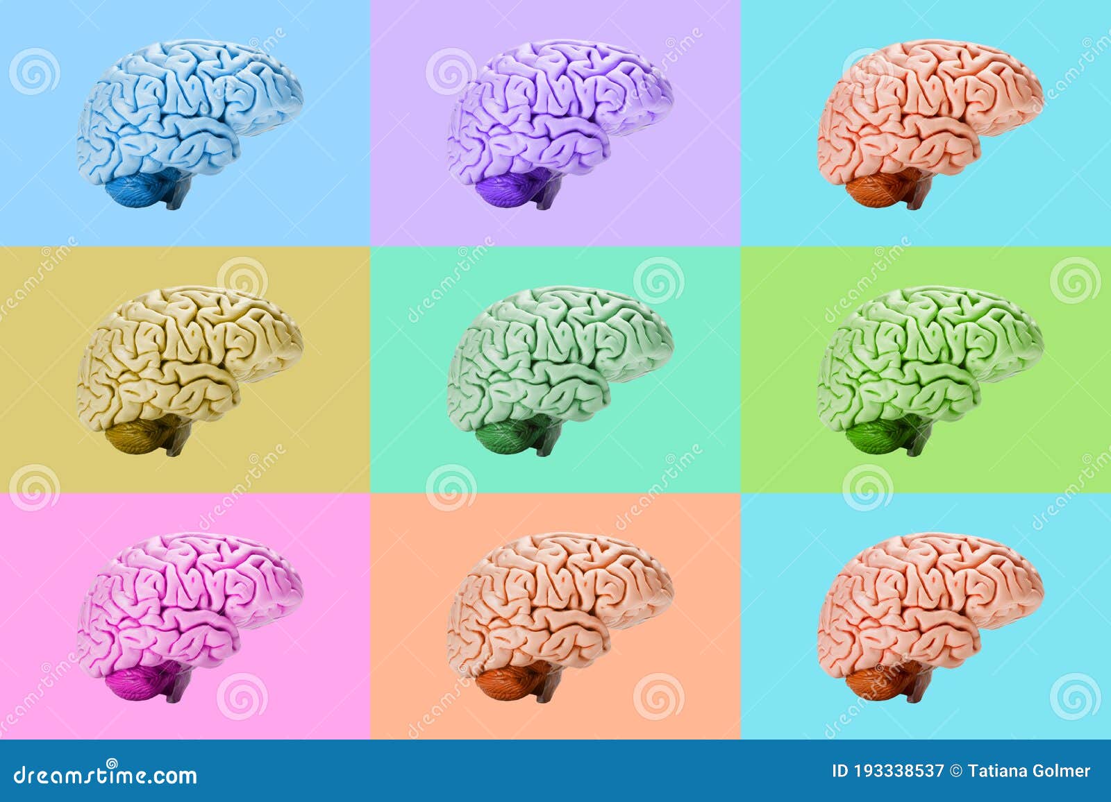 Pop Art Poster Multicolored Scattered Models of the Human Brain ...
