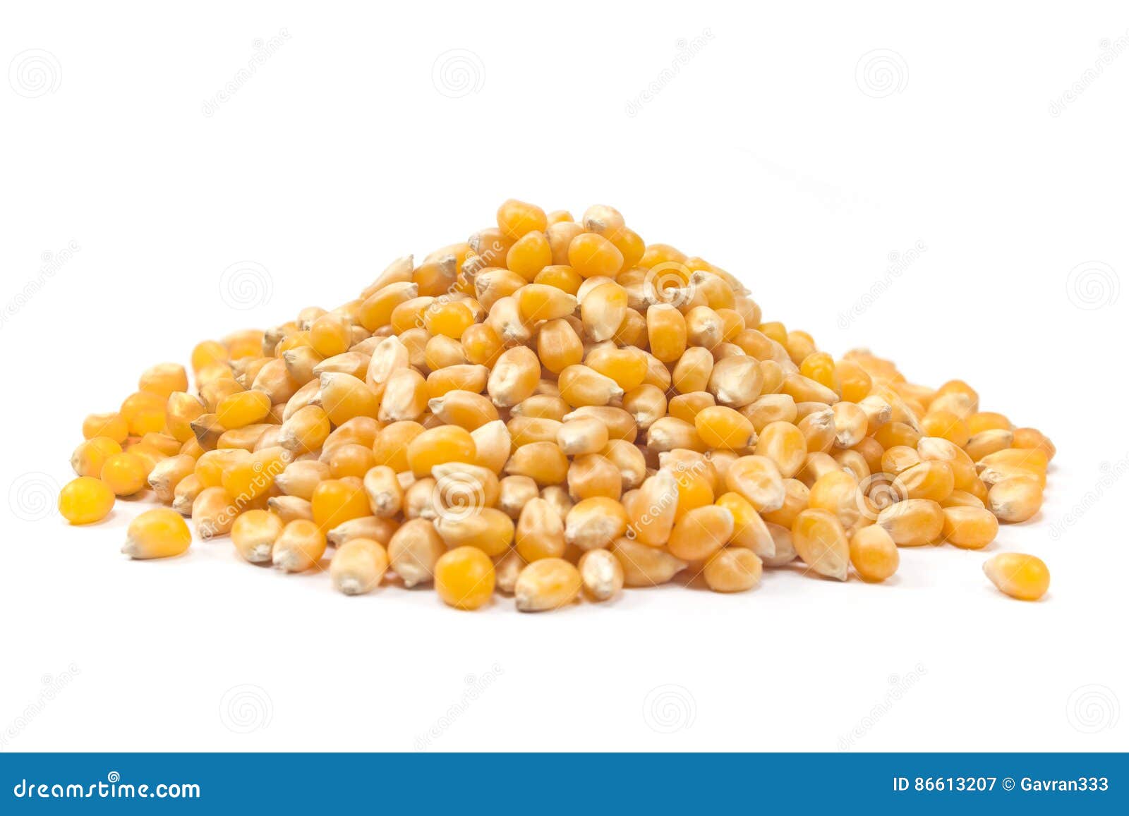 Pop corn seed isolated stock image. Image of grain, golden - 86613207