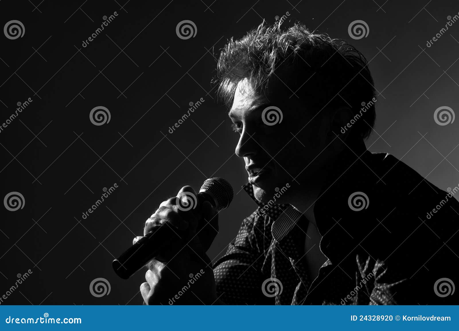 Pop singer stock photo. Image of artist, concert, blond - 24328920