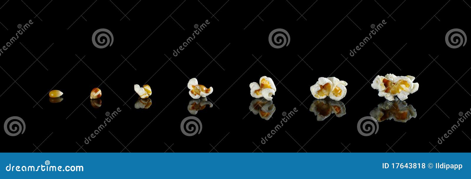 Stages Popcorn Development Stock Photos - Free & Royalty-Free Stock ...