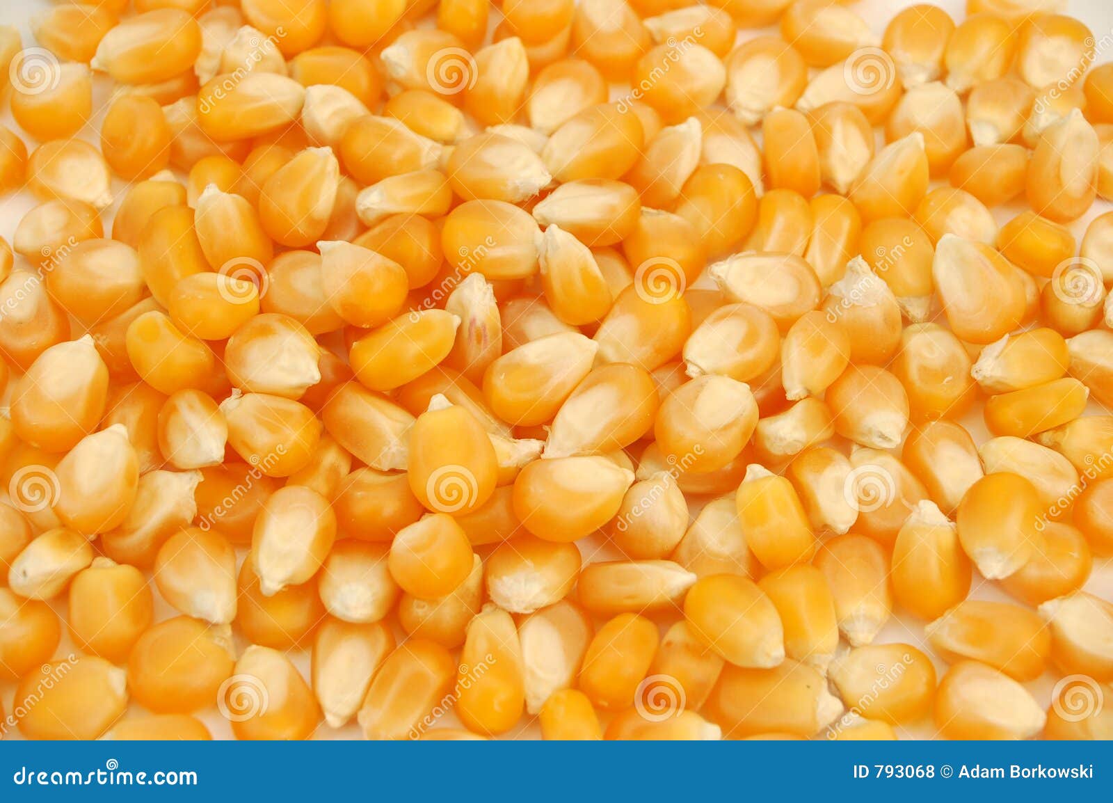 Popcorn stock photo. Image of grain, wallpaper, golden - 793068