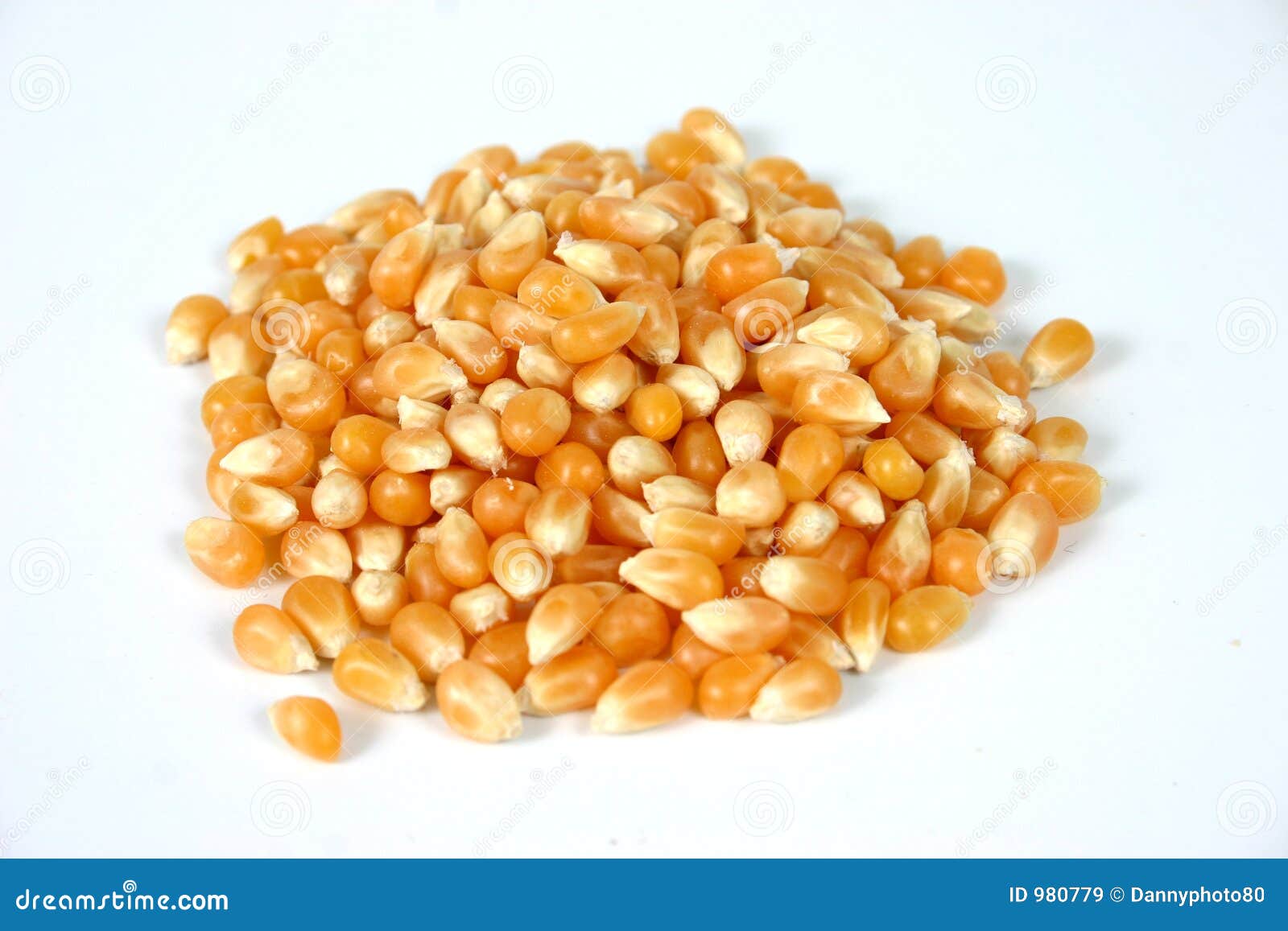Popcorn stock image. Image of seed, hard, corns, kernel - 980779