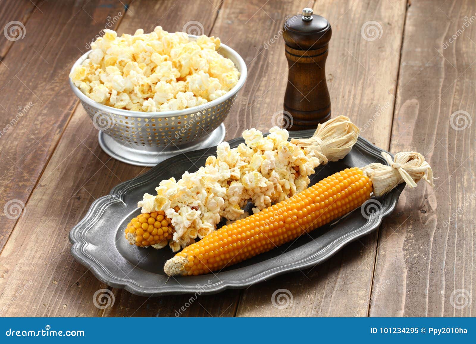 Popcorn on the cob stock image. Image of grain, closeup - 101234295