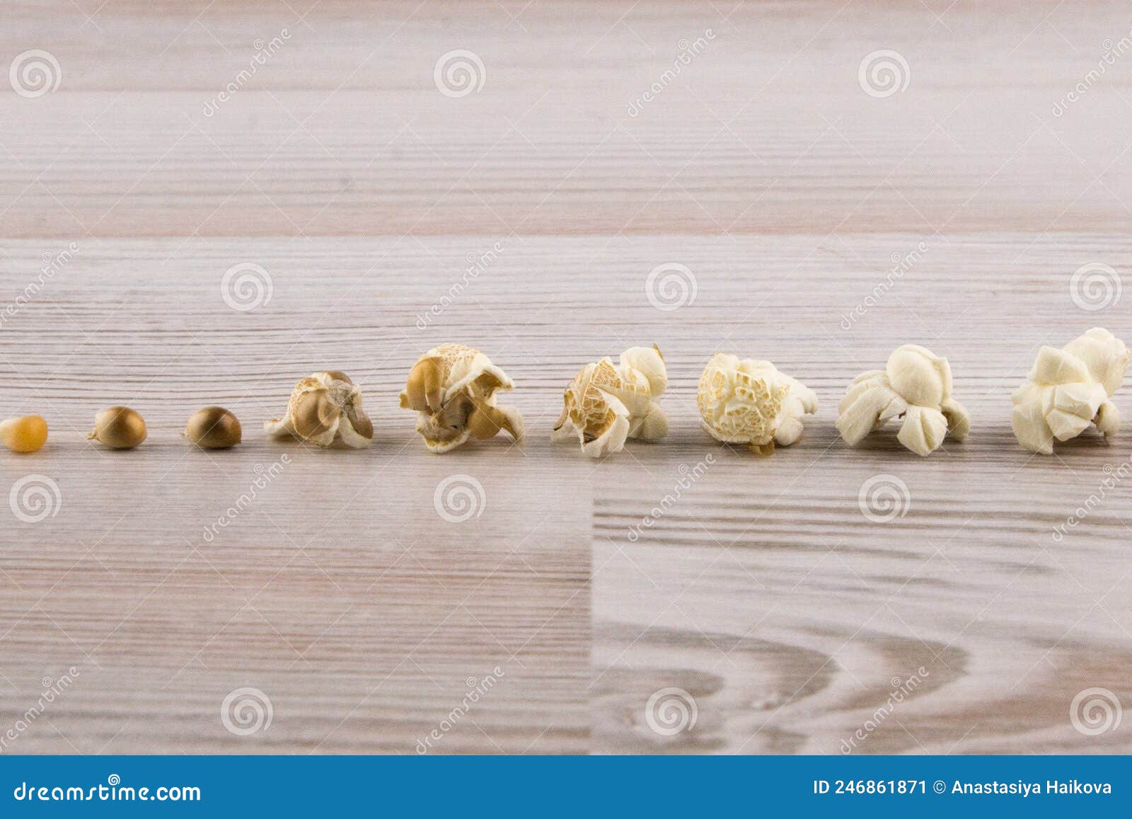 Popcorn Cooked in a Microwave Oven at Home: the Different Stages of the ...