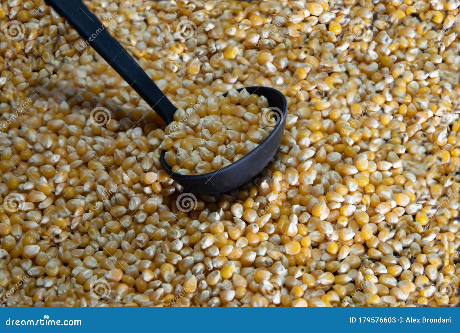 Popcorn Corn Grains on a Kitchen Table and Household Items Stock Image ...
