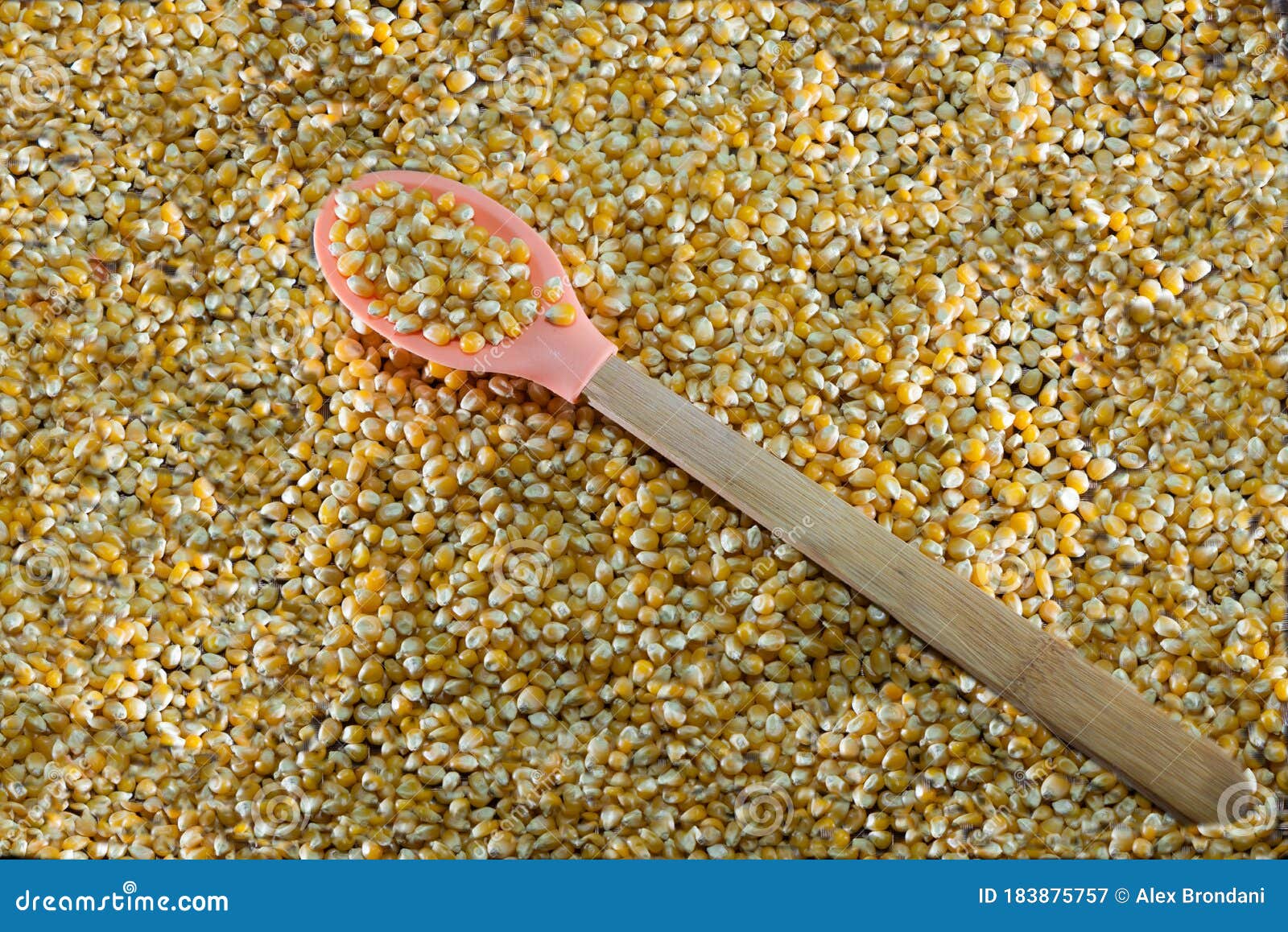 Popcorn Corn Grains on a Kitchen Table and Household Items Stock Image ...
