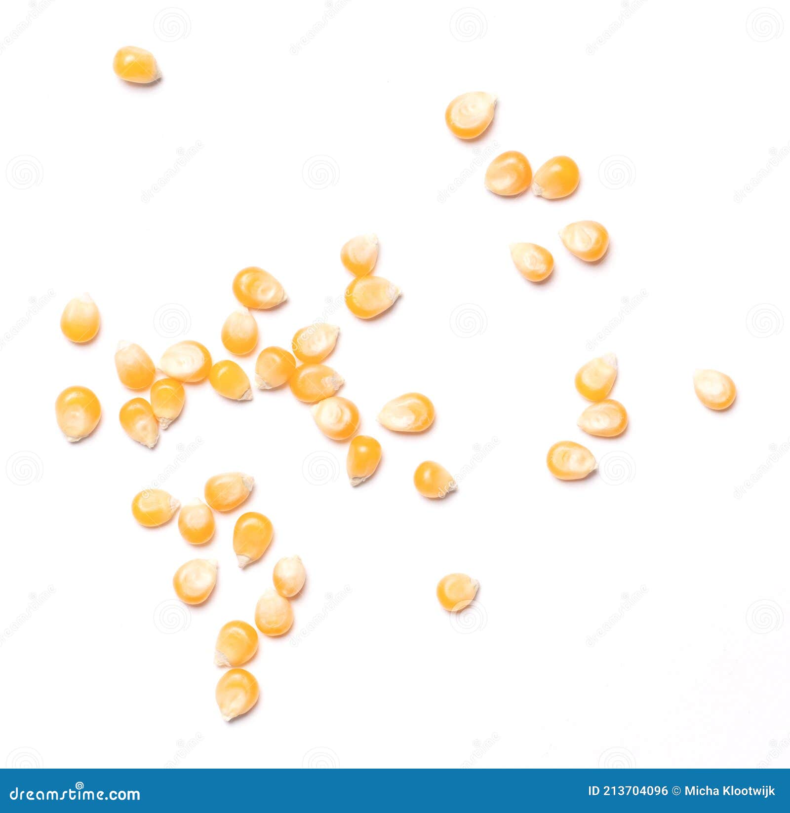 Popcorn corn - Raw grain stock photo. Image of white - 213704096