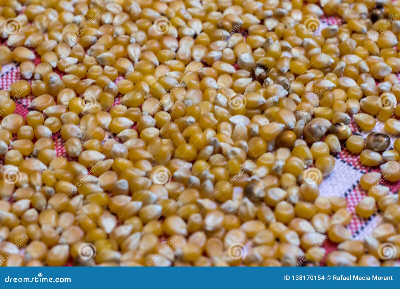 Popcorn and corn seed stock photo. Image of meal, delicious - 138170154