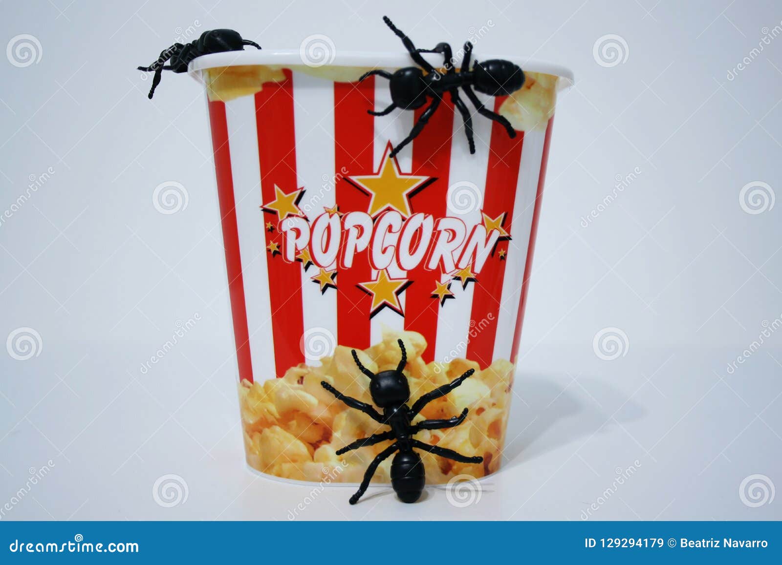 POPCORN and INSECT CUBE 2 stock image. Image of cube - 129294179