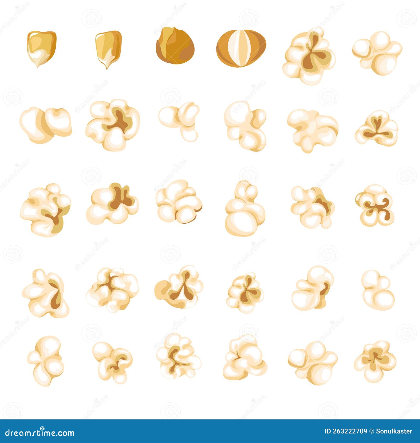 Popcorn Kernel Types and Process of Popping Vector Stock Vector ...