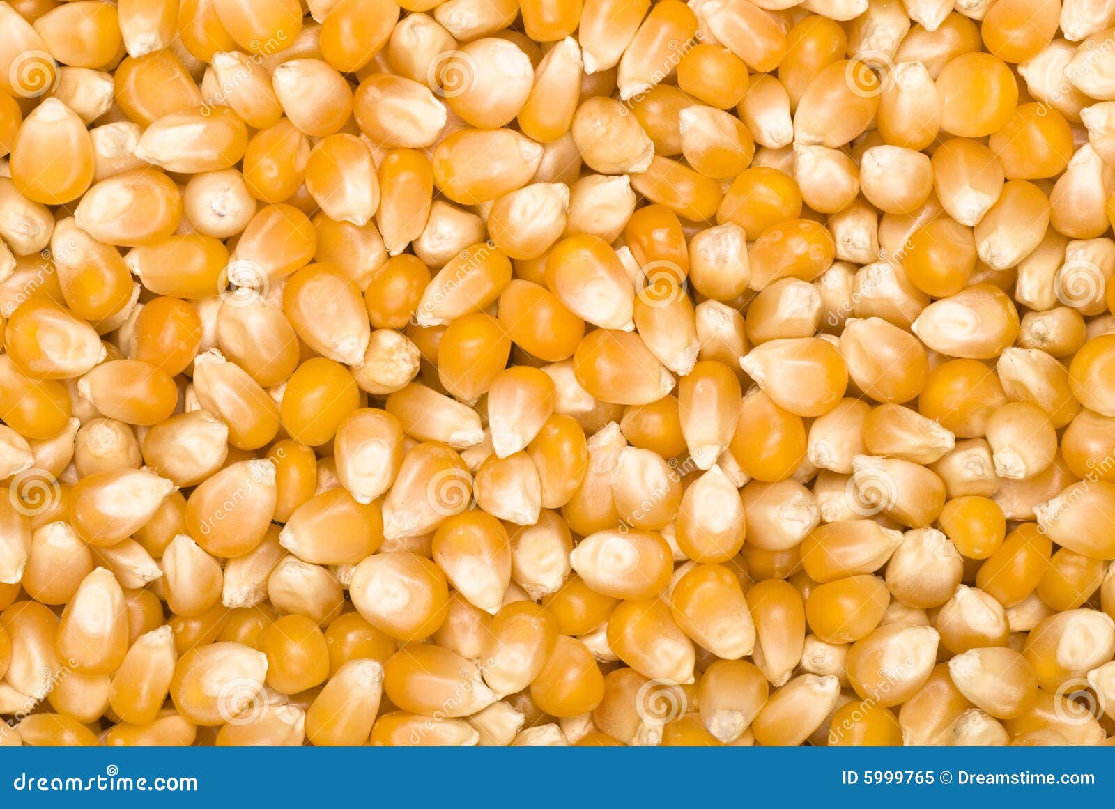 Popcorn Kernels stock image. Image of wallpaper, popcorn - 5999765