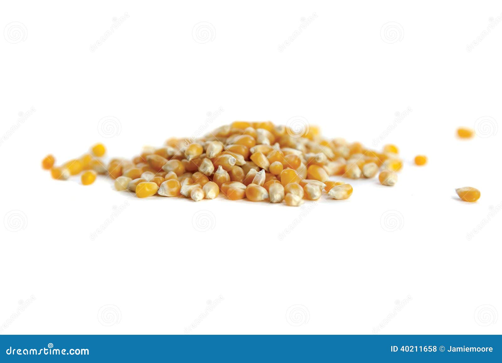 Popcorn kernels isolated stock photo. Image of corn, isolated - 40211658