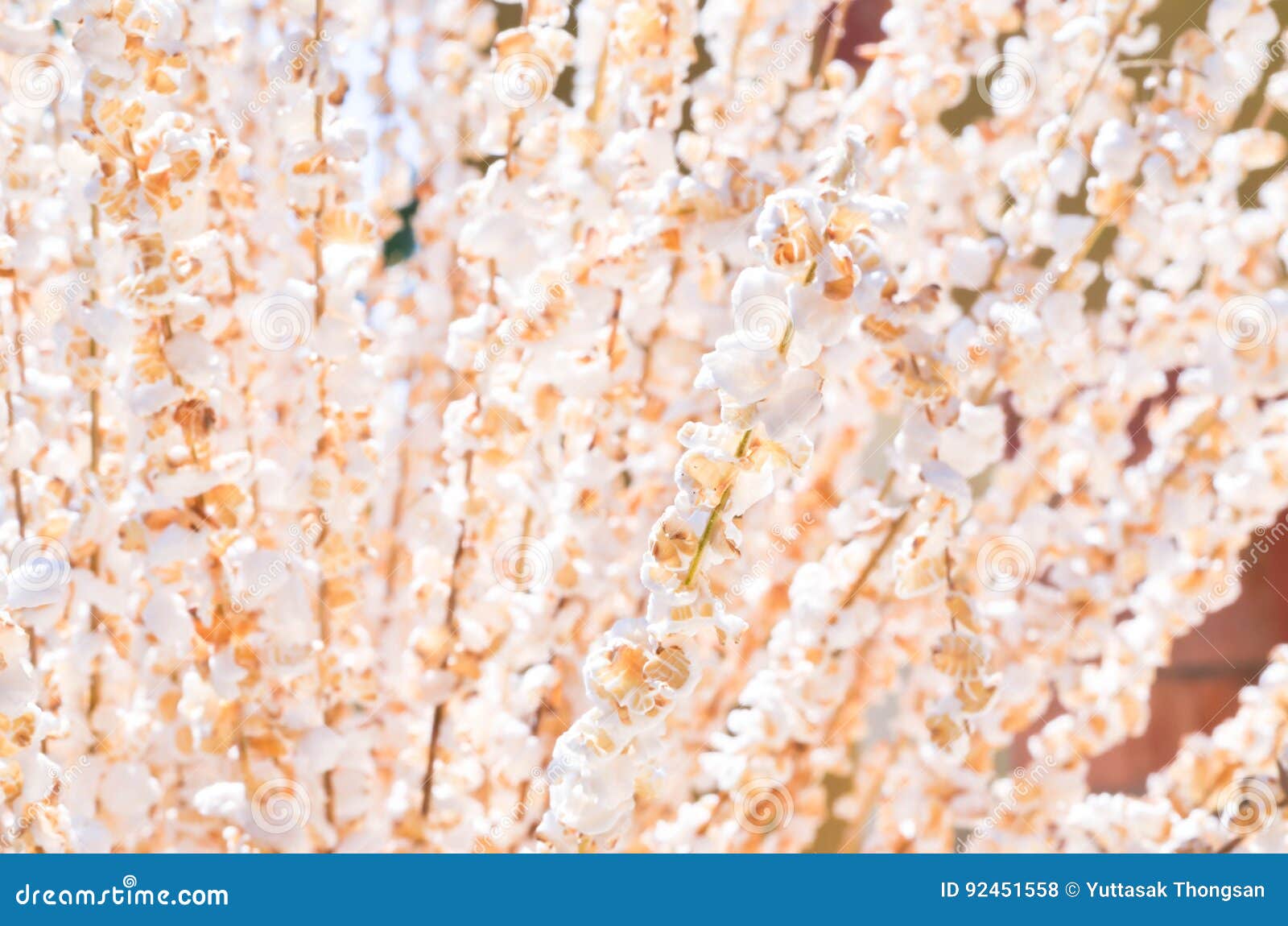 Popcorn Line in Thailand Style Stock Photo - Image of border, color ...