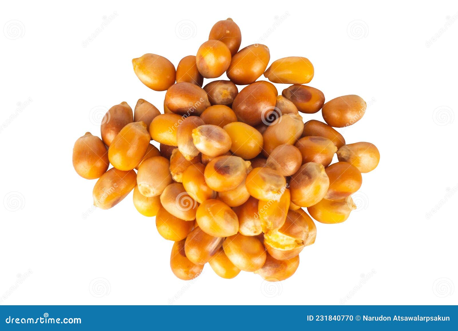 Popcorn Seed Isolated on White Background Stock Photo - Image of ...