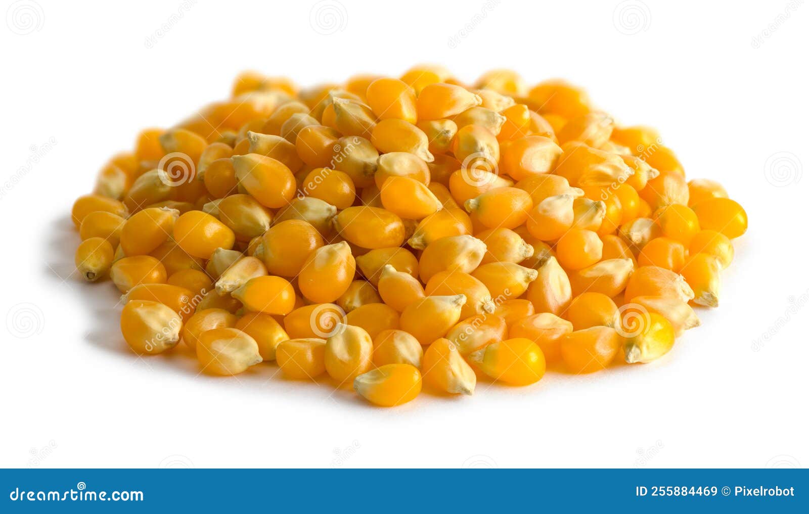 Small Popcorn Cloud With Rain Made Out Of Corn Kernels On Blue ...