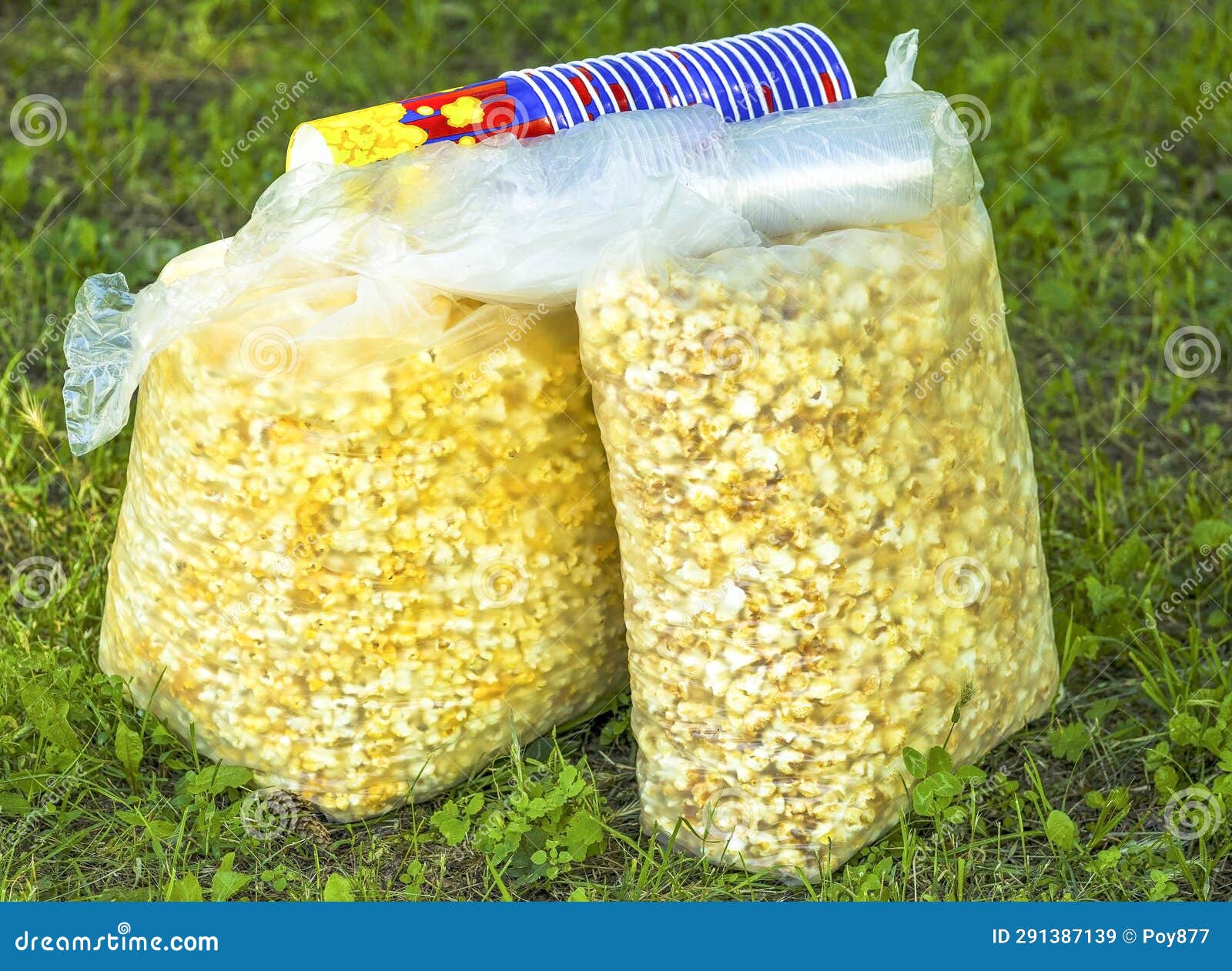 Popcorn in Transparent Big Packages on a Grass. Stock Image - Image of ...