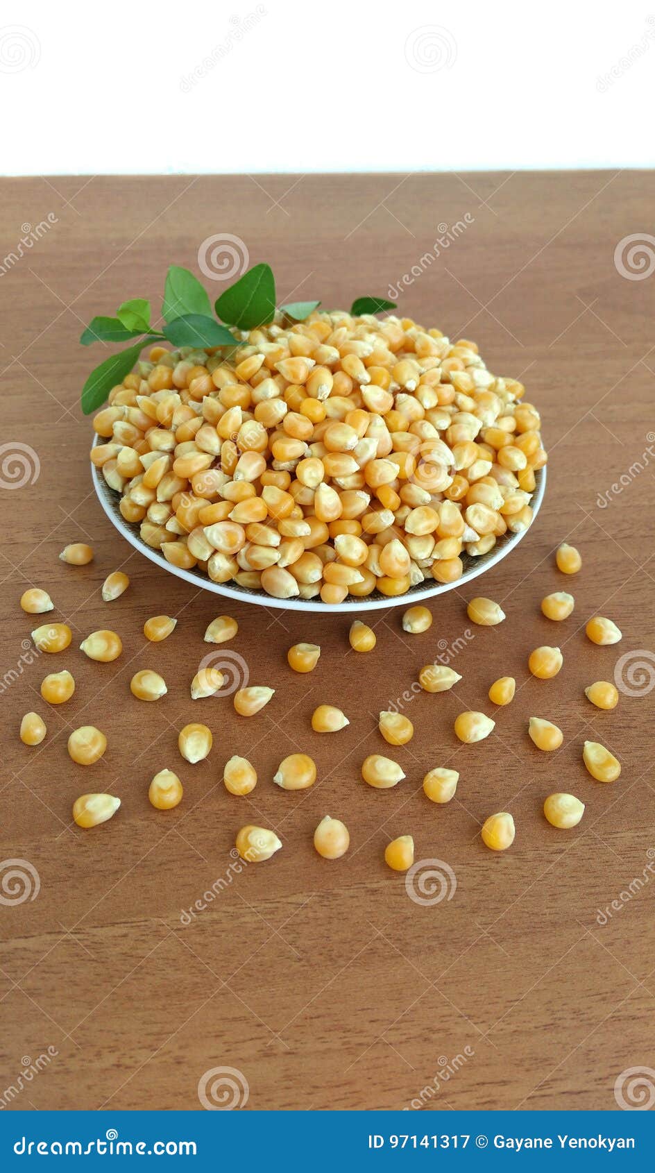 Uncooked Popcorn Stock Image | CartoonDealer.com #48274675