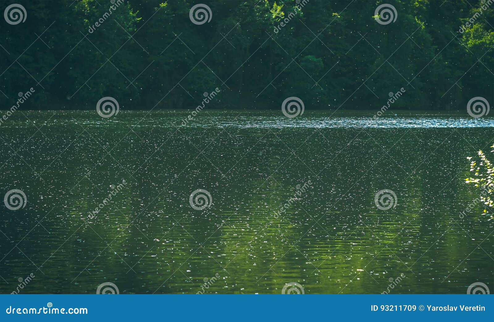 Poplar fluff blurred stock image. Image of botany, foliage - 93211709