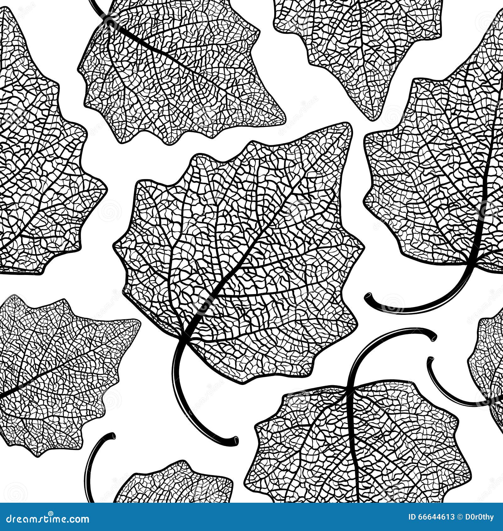 Poplar Leaf Skeleton Pattern Stock Vector - Illustration of botany ...