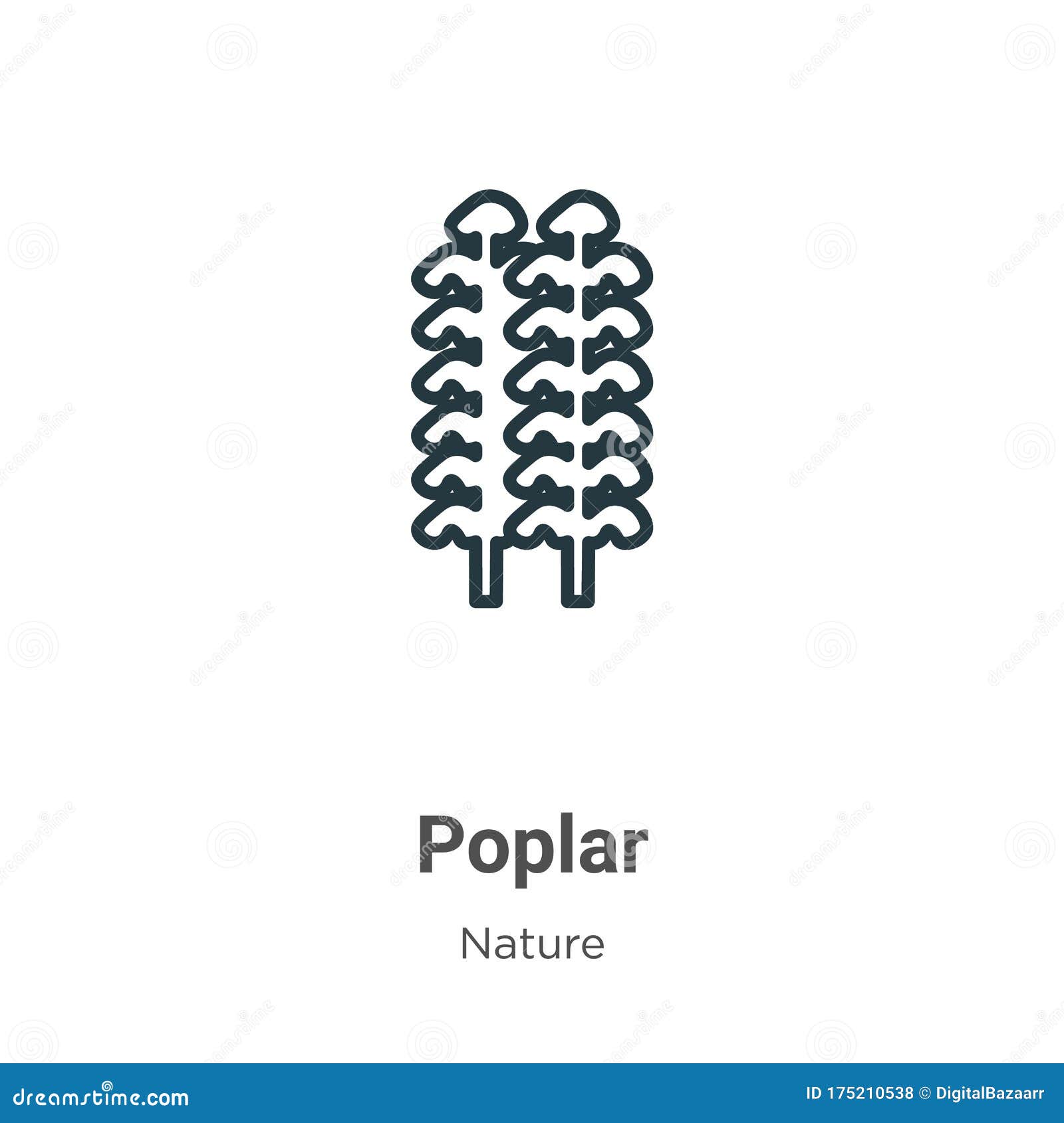 Poplar Outline Vector Icon. Thin Line Black Poplar Icon, Flat Vector ...