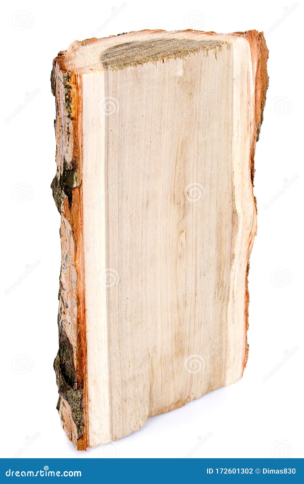 Poplar Tree Log on a White Background Stock Photo - Image of firewood ...