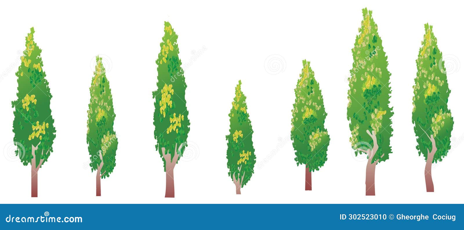 Poplar Trees In Forest Landscapes Stock Photography | CartoonDealer.com ...