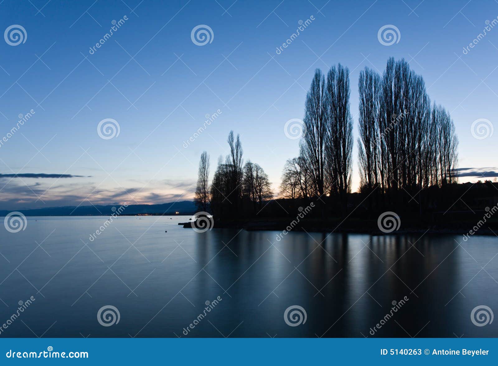 Poplars at night stock image. Image of gradient, outline - 5140263