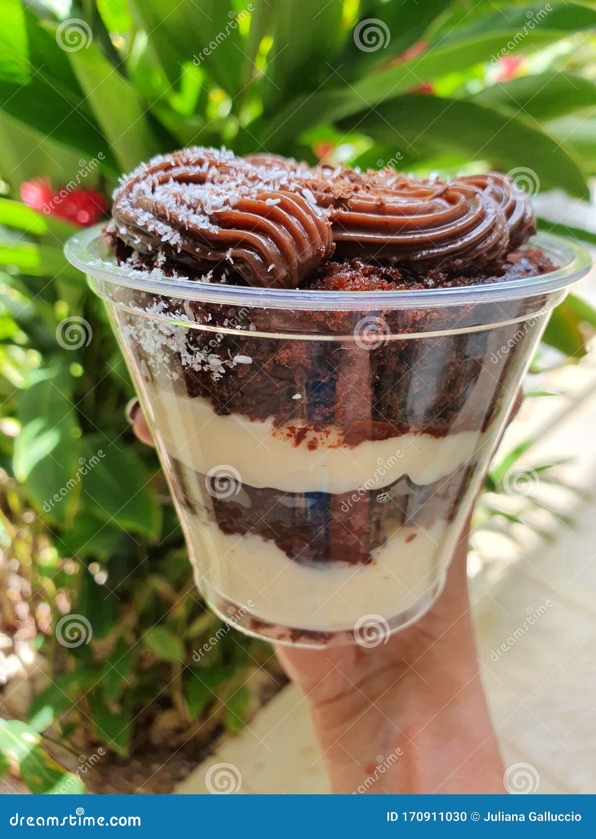 Popota De Coco De Chocolate Con Pastel Foto de archivo - Imagen de ...