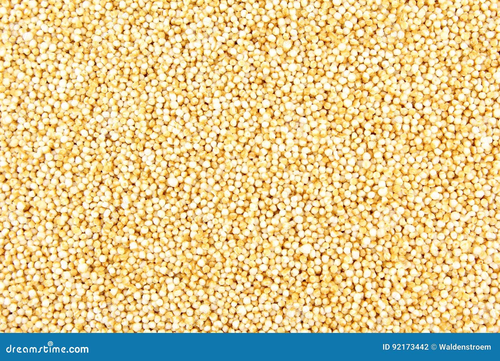 Popped Amaranth Grain Closeup Food Background Texture Stock Photo ...