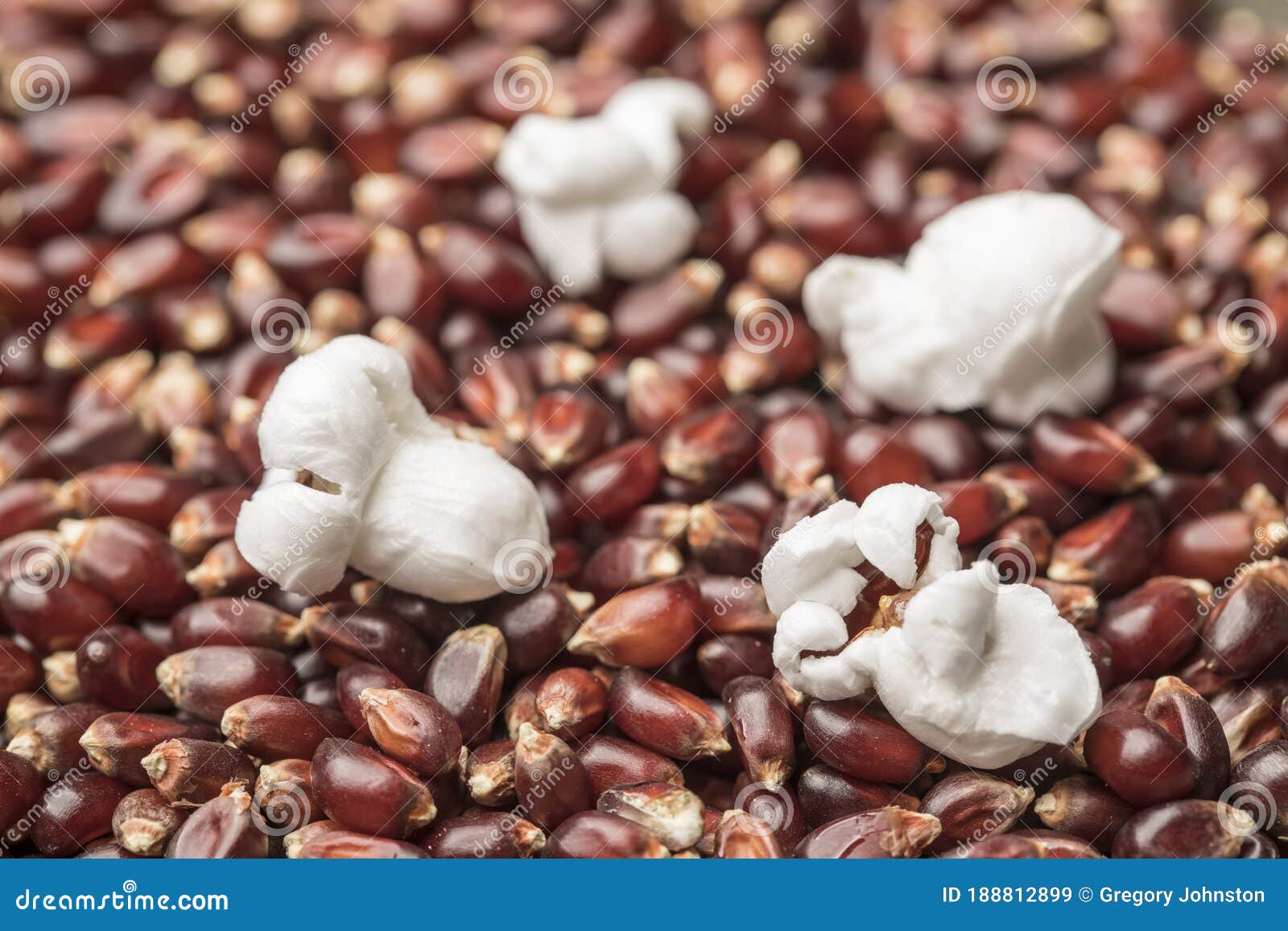 Popped Popcorn on Raw Kernels Stock Image - Image of design, full ...