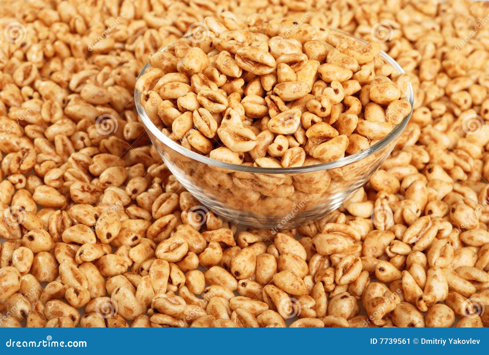 Popped wheat grains in cup stock image. Image of macro - 7739561