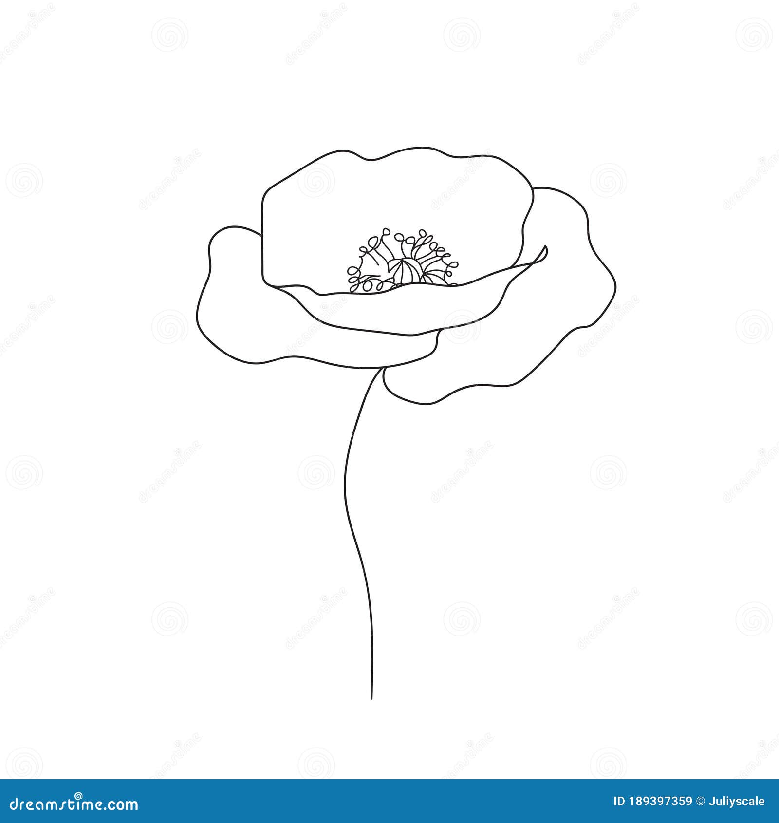 Poppies Flower Continuous Line Drawing Abstract Minimal Poppy Stock