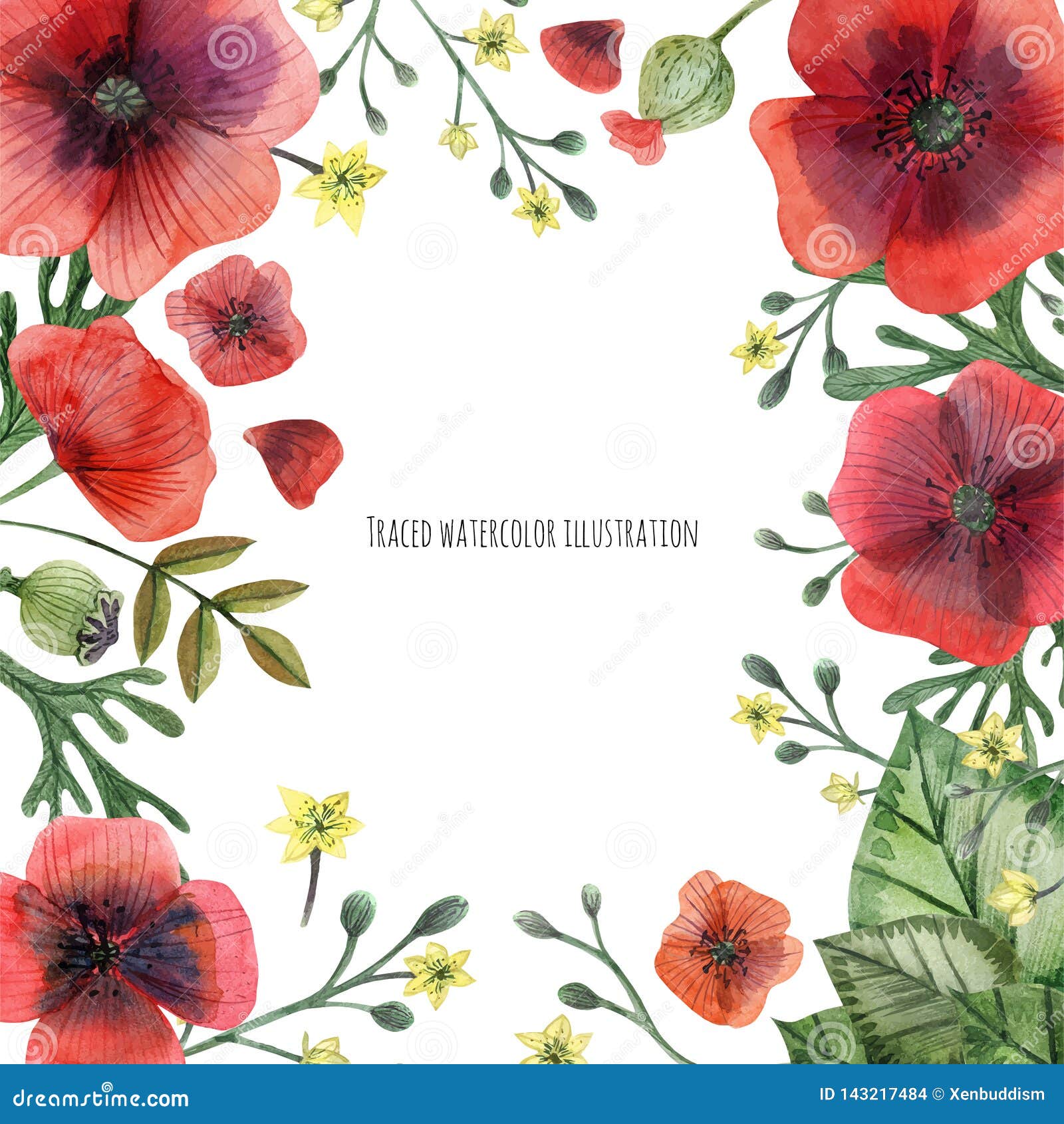 Poppies and Herbs Square Frame Stock Vector - Illustration of floral ...