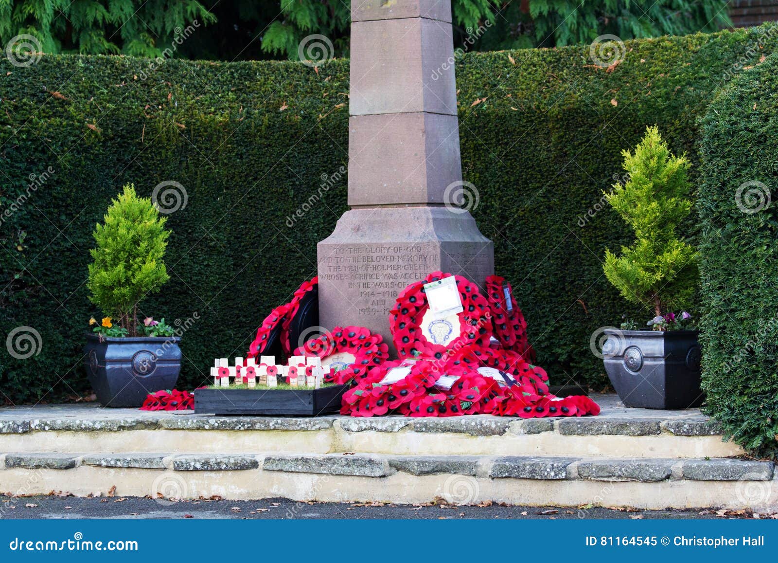 Poppies Left at a Memorial during Rememberance Day Editorial Image ...