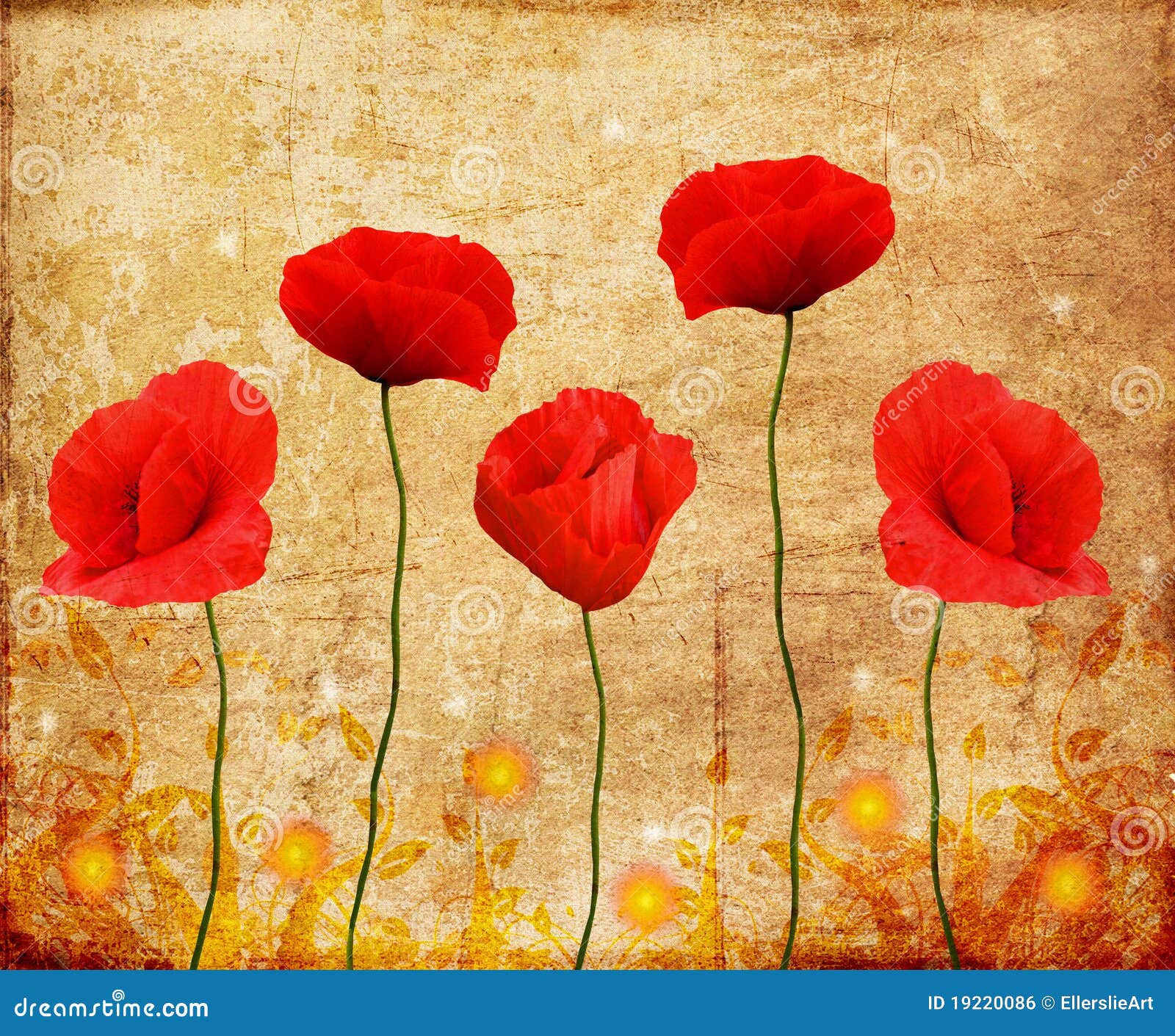 Poppies on an old paper stock photo. Image of lights - 19220086