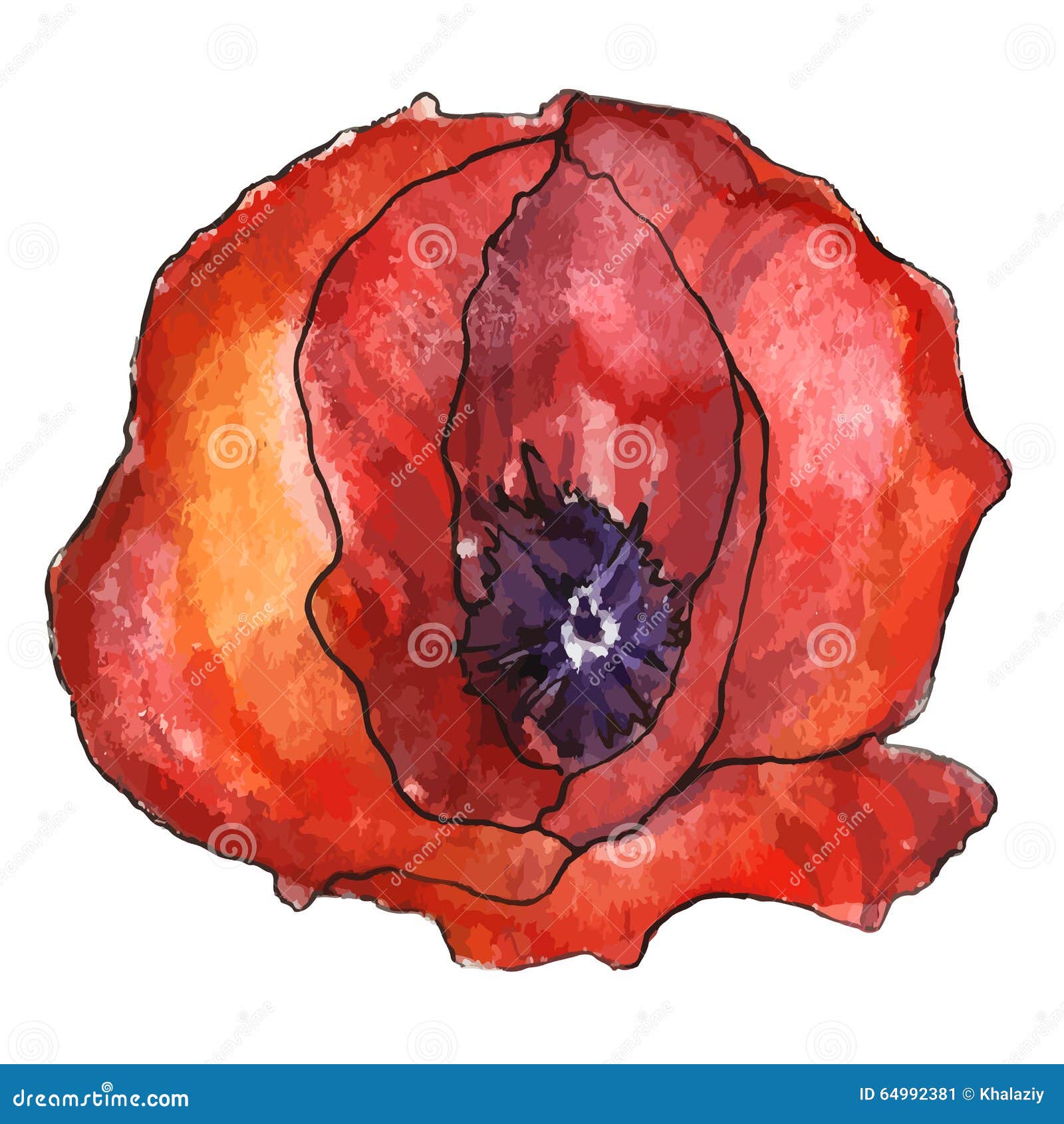 Poppies stock vector. Illustration of drawing, poppies - 64992381