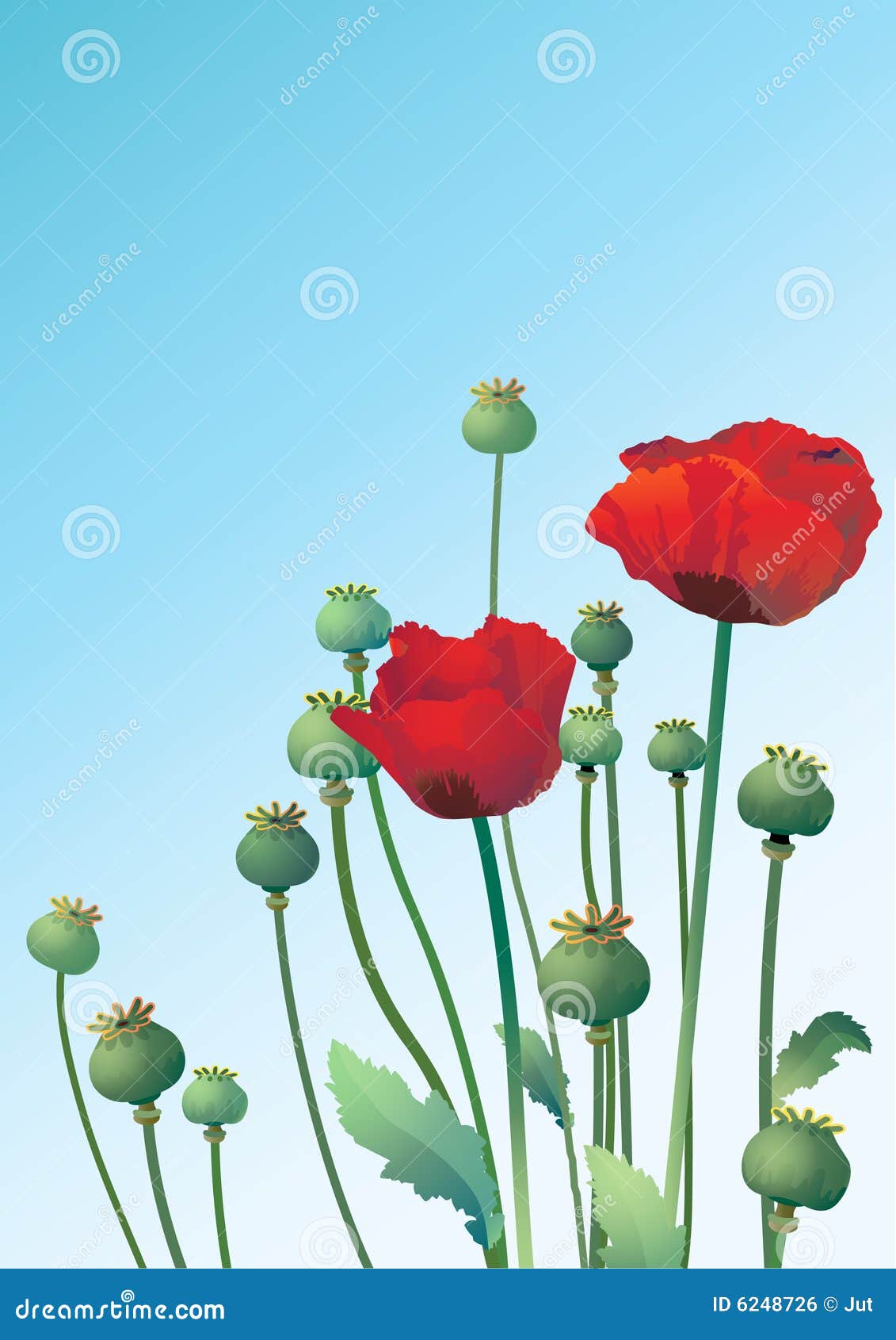 Poppy stock vector. Illustration of stem, floral, meadow - 6248726