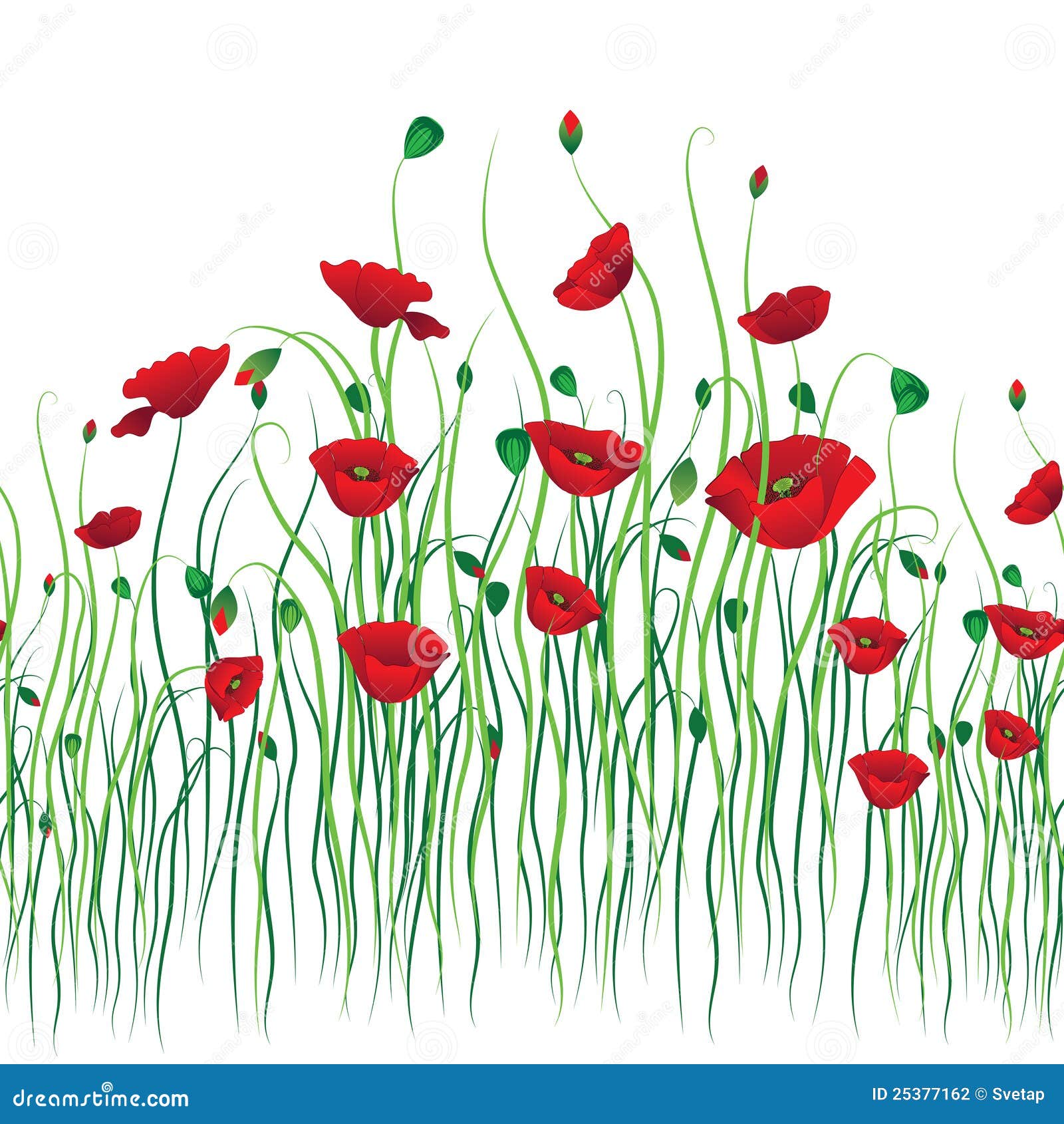 Poppy background stock vector. Illustration of bouquet - 25377162