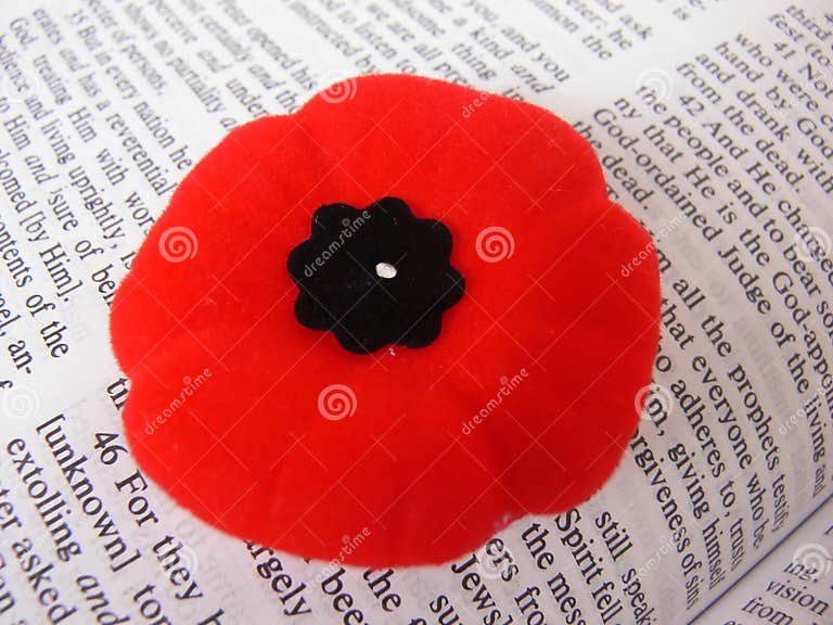 Poppy and Bible stock image. Image of church, gospel, elderly - 1535263